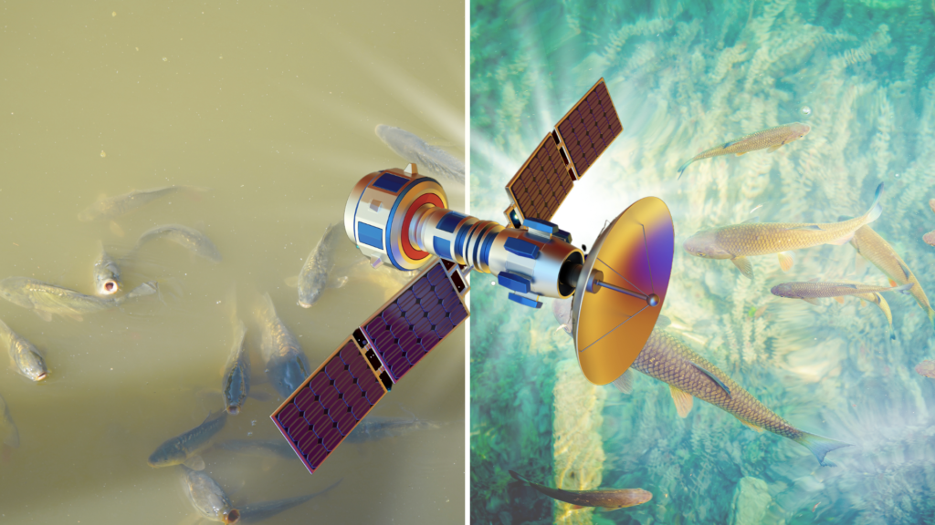 Satellite-based Algae Detection Technology | Tigernix Australia