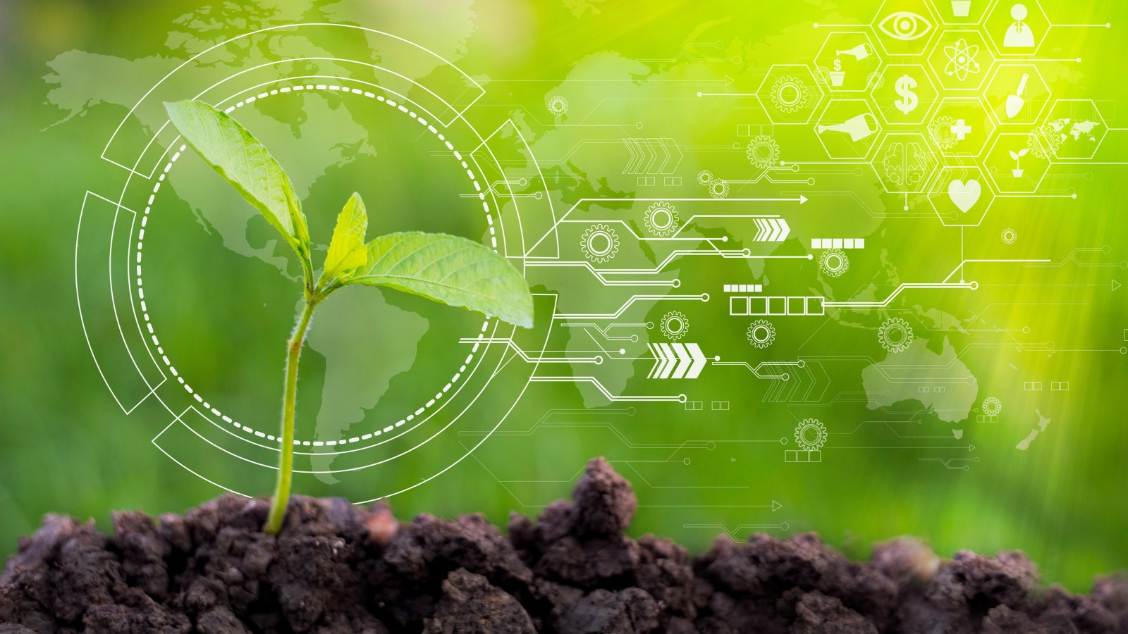 What Exactly is the Green Revolution? | Tigernix Australia