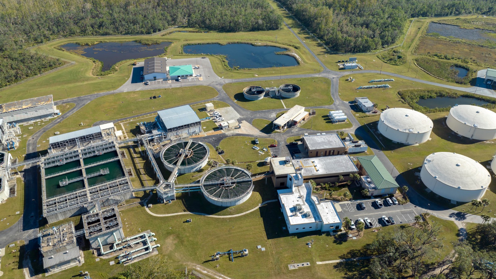 Transforming Wastewater Sludge into Environmentally Safe Products: A ...