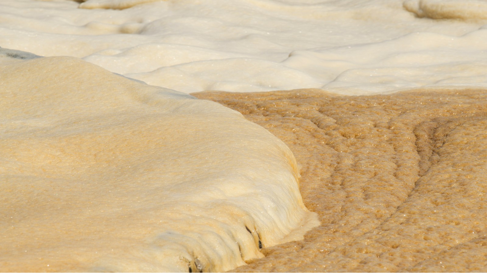 How to Optimise Return Activated Sludge Process (RAS) in the Wastewater ...