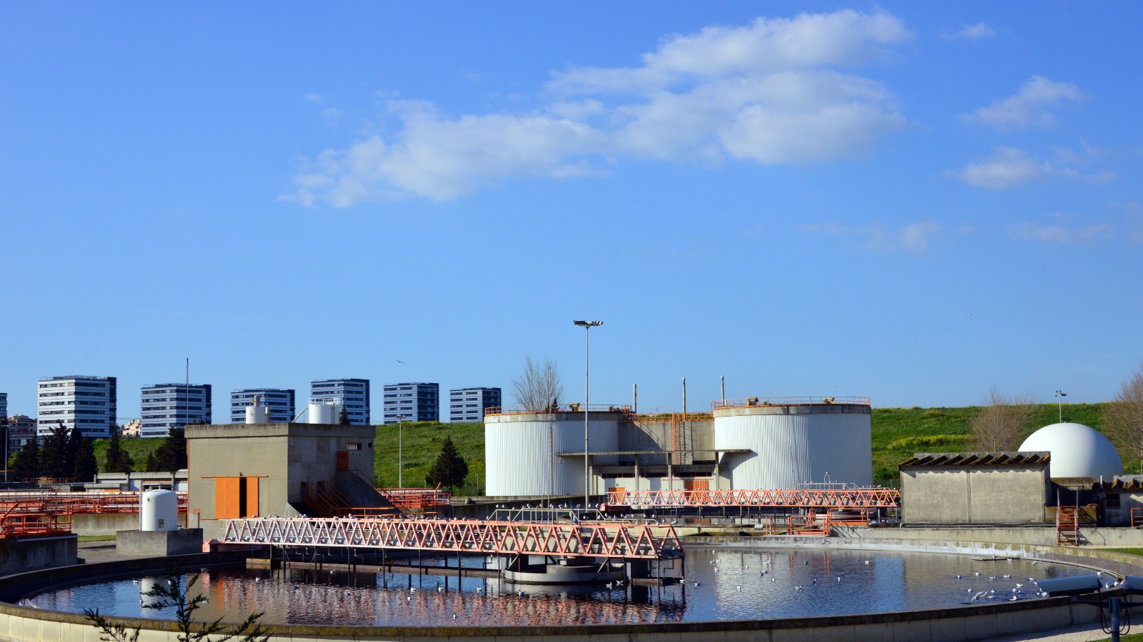Exploring the Challenges of Wastewater Basin Maintenance | Tigernix ...
