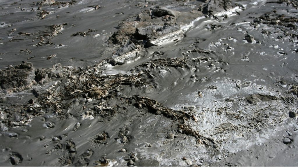 How to Optimise Return Activated Sludge Process (RAS) in the Wastewater ...