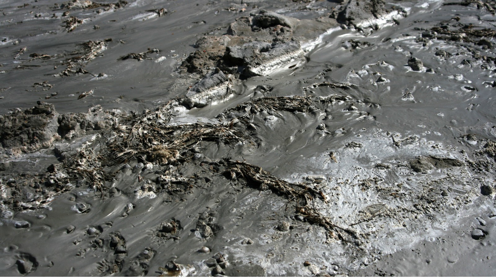 How to Optimise Return Activated Sludge Process (RAS) in the Wastewater ...