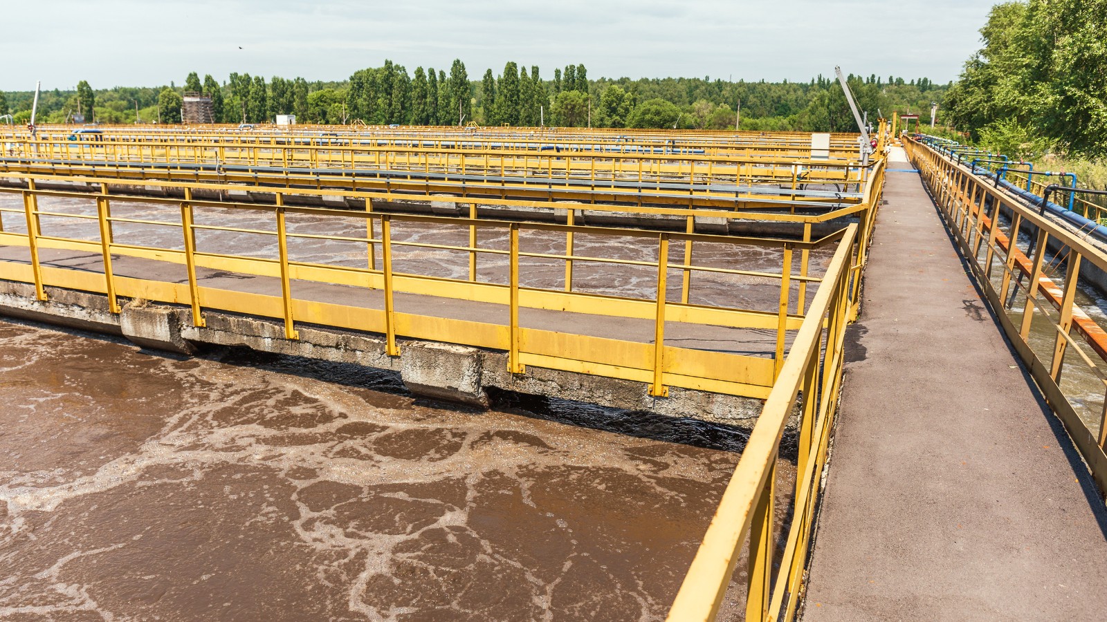 Revealing the Benefits of Activated Sludge | Tigernix Australia