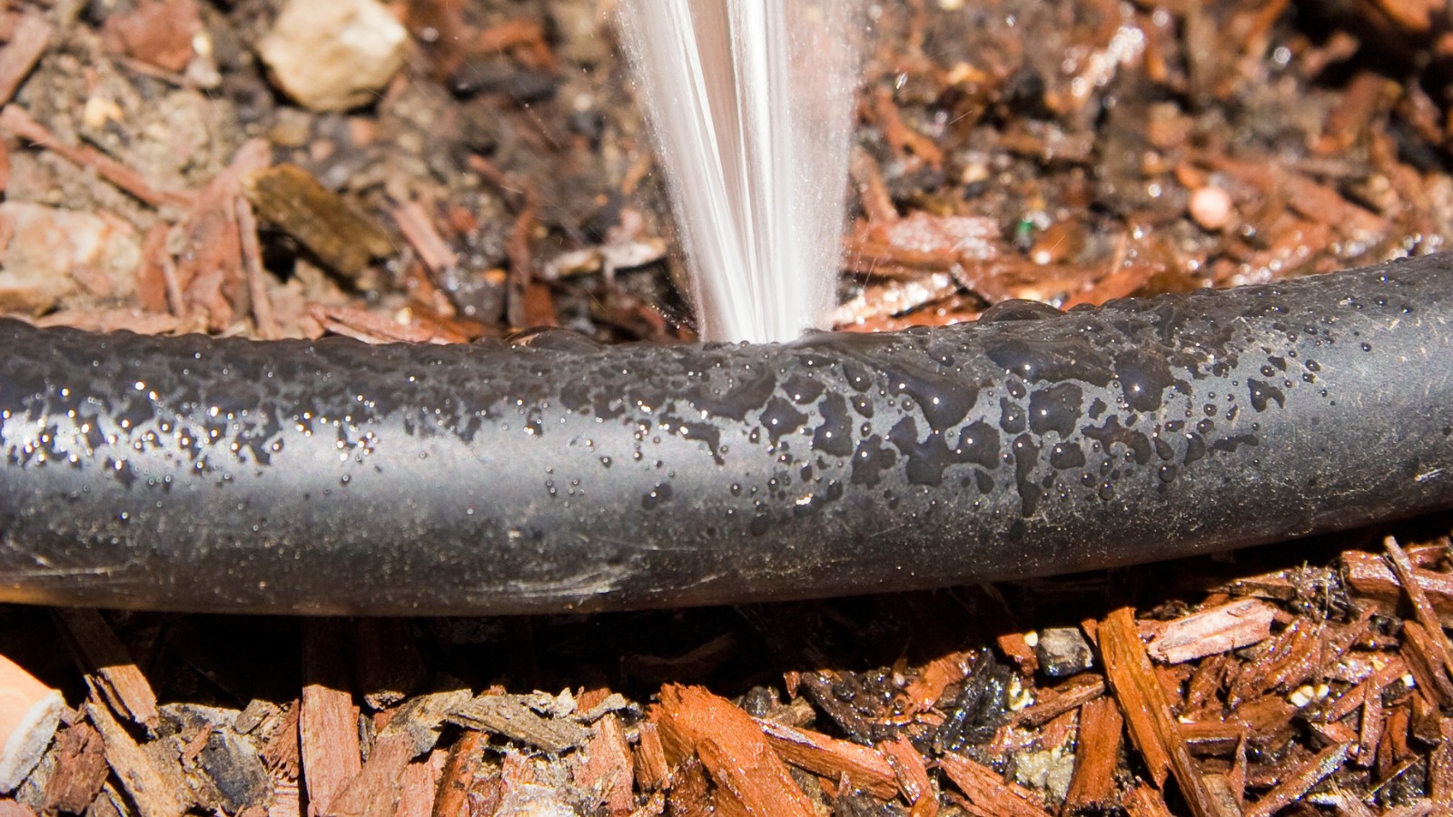 Addressing Non-Revenue Water Losses | Tigernix Australia