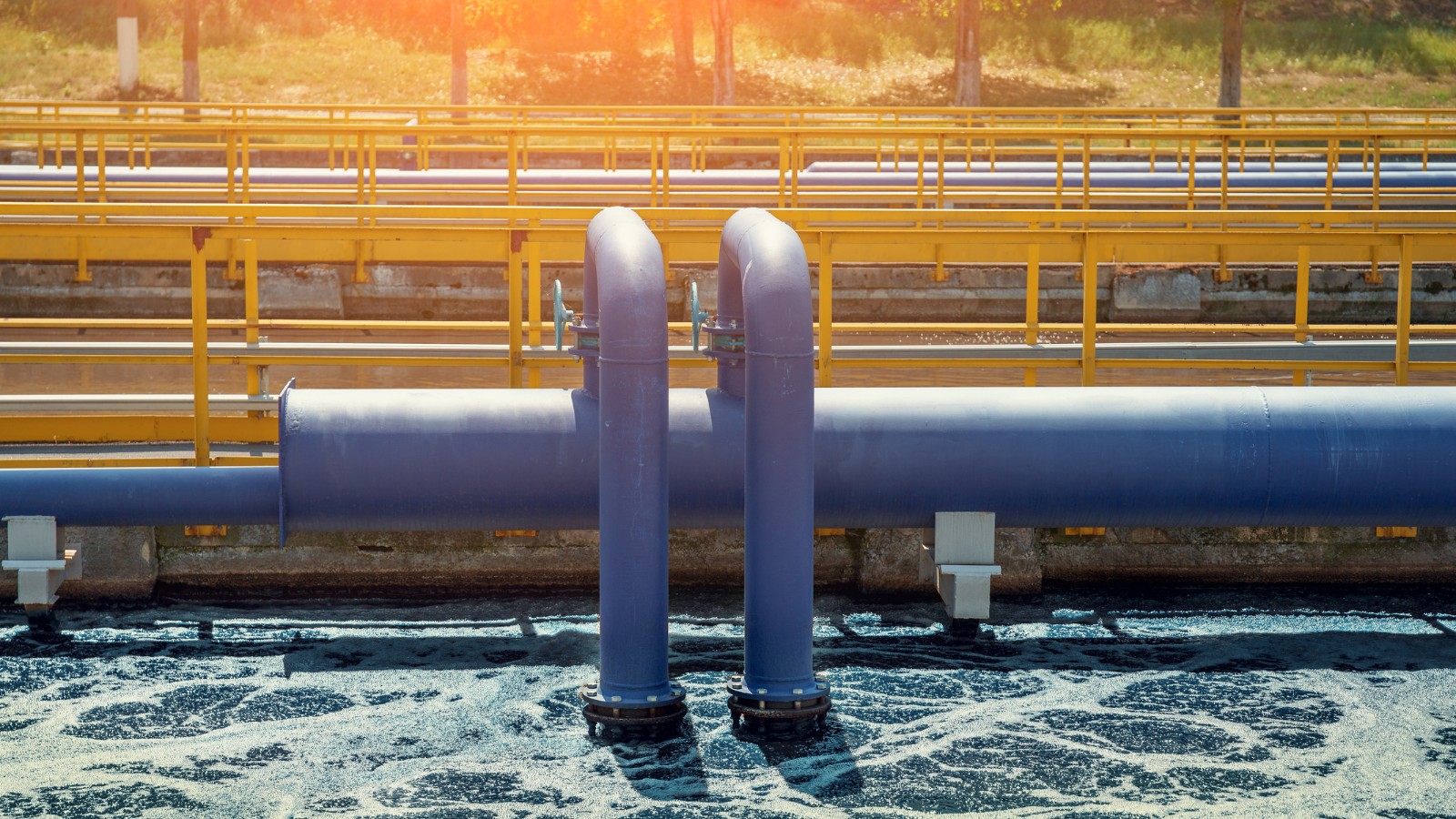 Revealing the Benefits of Activated Sludge | Tigernix Australia