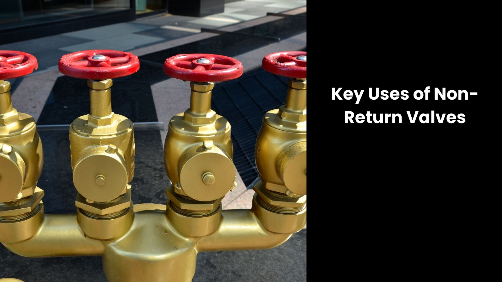 Exploring the Use of Non-Return Valves | Tigernix Australia