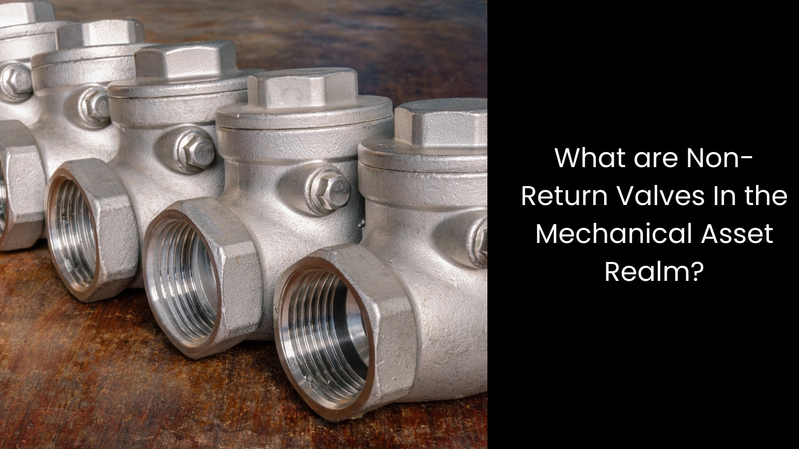 Exploring the Use of Non-Return Valves | Tigernix Australia