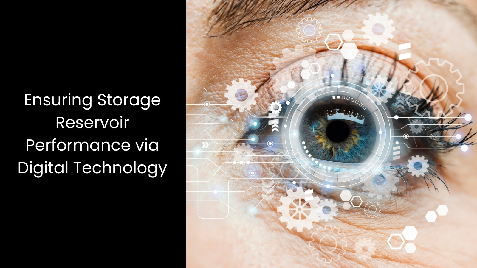 What is a Storage Reservoir? | Tigernix Australia