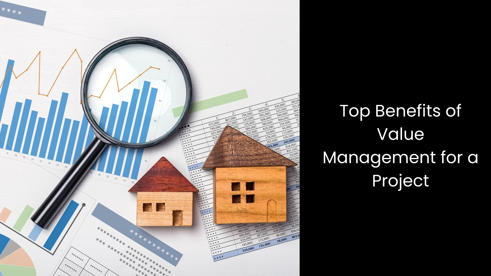 Importance of Value Management for a Project | Tigernix Australia