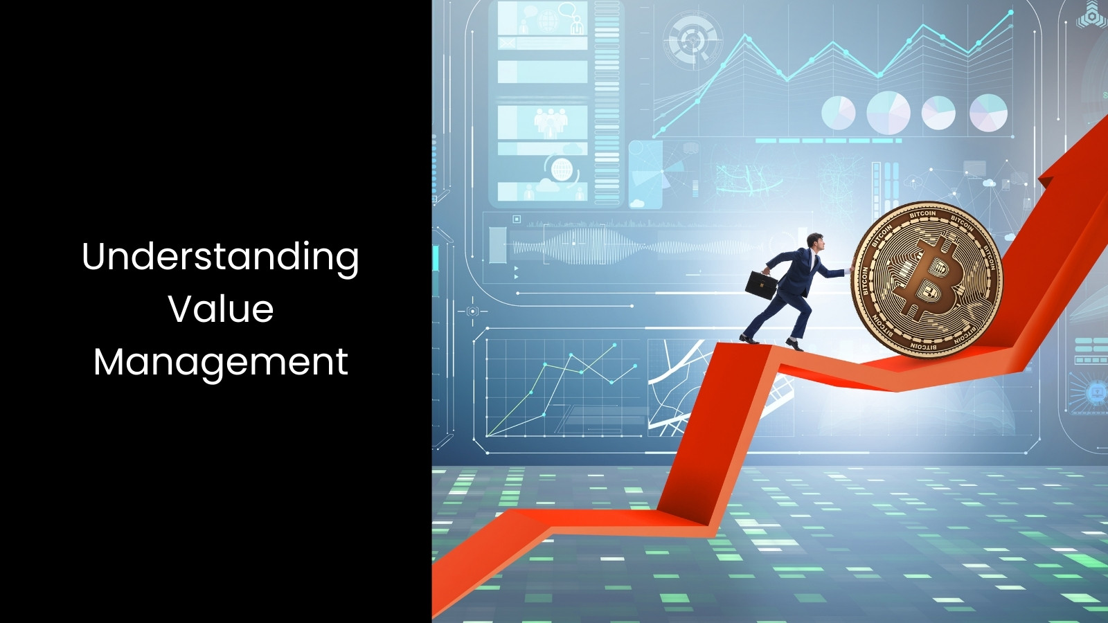 Importance of Value Management for a Project | Tigernix Australia