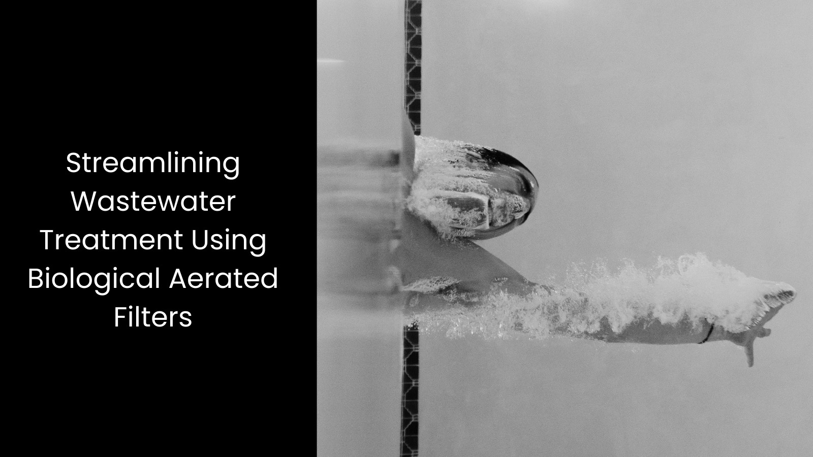 The Use of Biological Aerated Filters for Wastewater Treatment ...