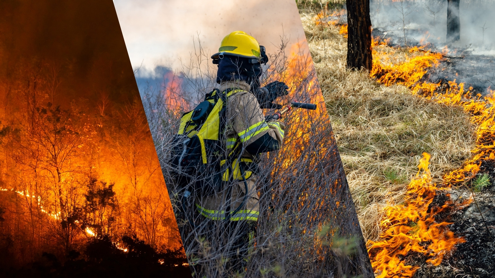 The Role of GIS in Wildfire Risk Assessment and Mitigation | Tigernix ...