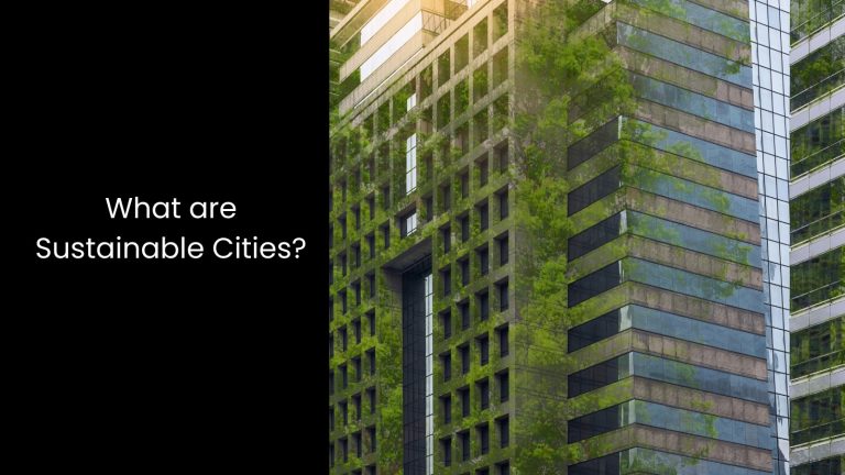 Exploring the Role of Technology in Creating Sustainable Cities | Tigernix Australia