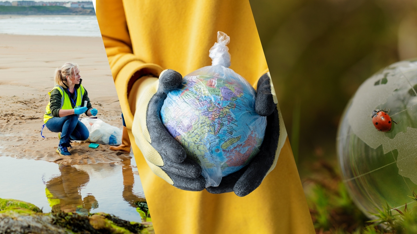 Environmental Impact Assessment: Top 5 Benefits | Tigernix Australia