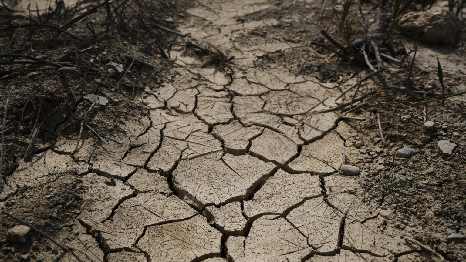 What are Road Cracks and Tips to Prevent Them | Tigernix Australia
