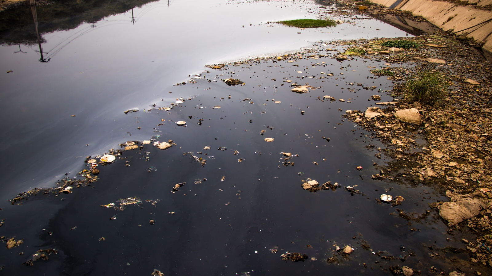 Sewage Water Pollution: Causes and Effects | Tigernix Australia