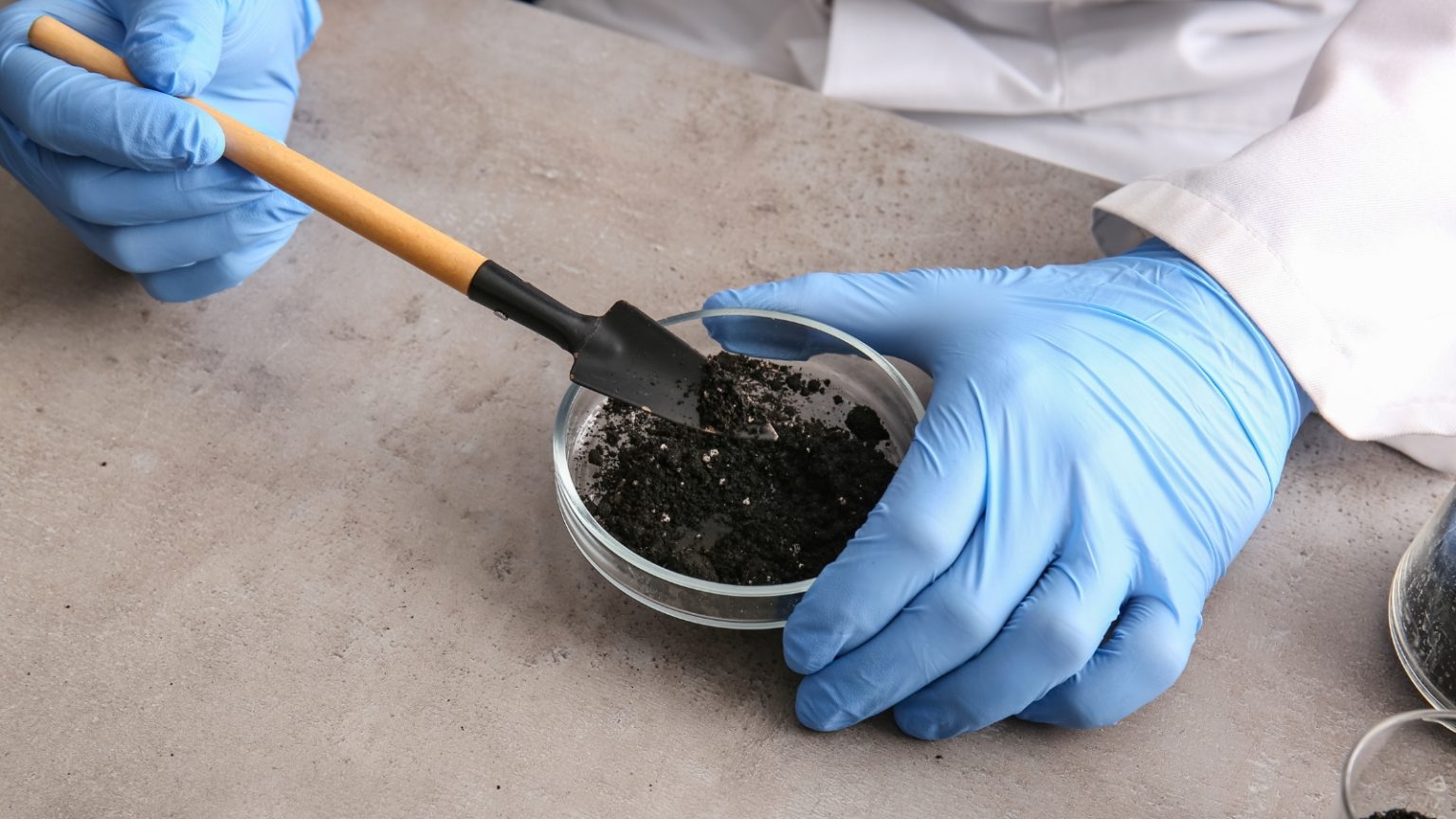 What Is Compaction Test: Soil Testing Methods and Field Procedures ...